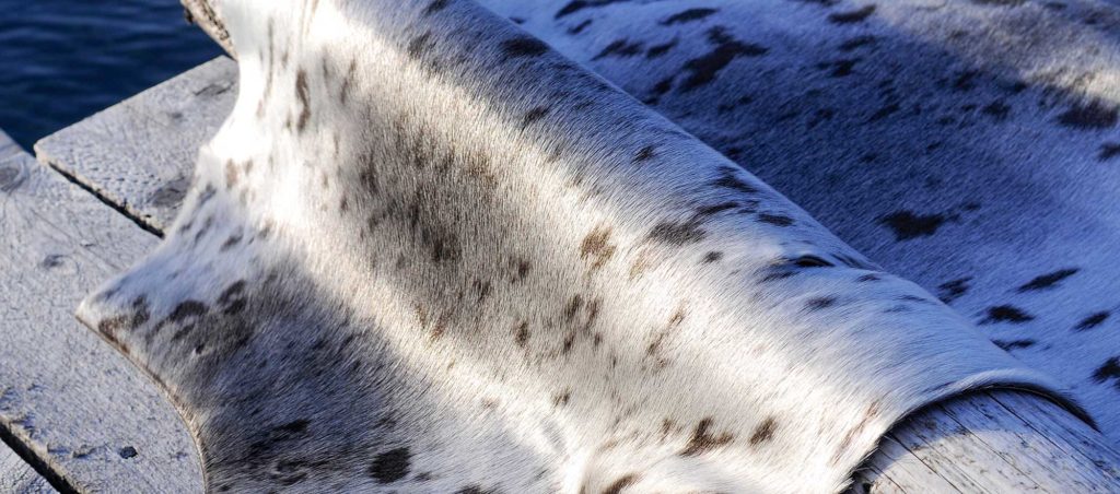 Seal Fur and Leather Textiles | Carino