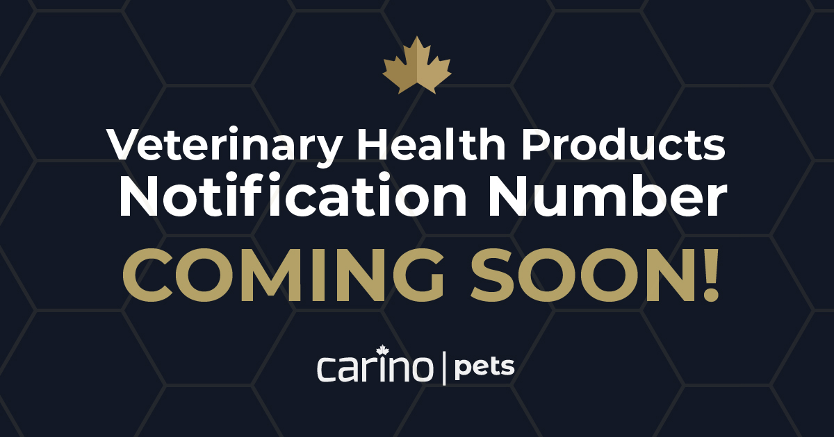 Carino Pets | Carino